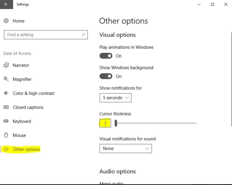 How to reduce the size of Blinking Cursor Thickness? - Technoresult