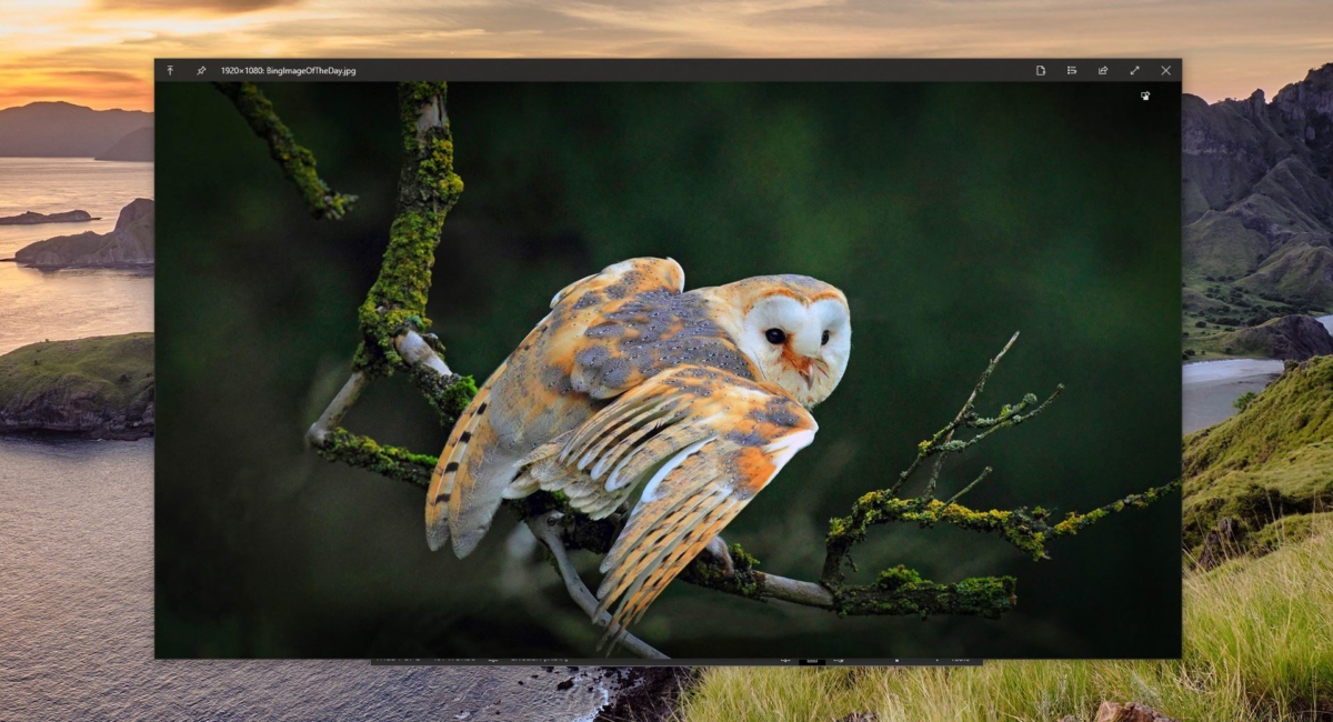 Enable Quick Preview Pane in Windows File Explorer on Windows 10 ...
