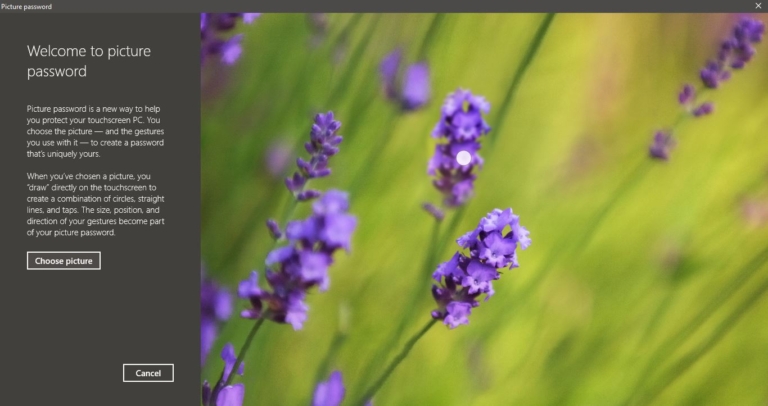 Fix Picture Password sign-in option not available in windows 10 ...