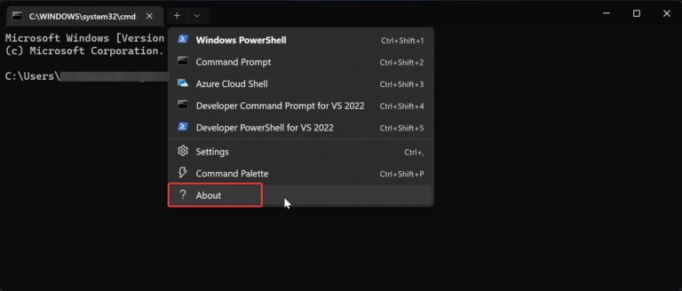 How Check Windows Terminal Version In Windows 1110 Technoresult