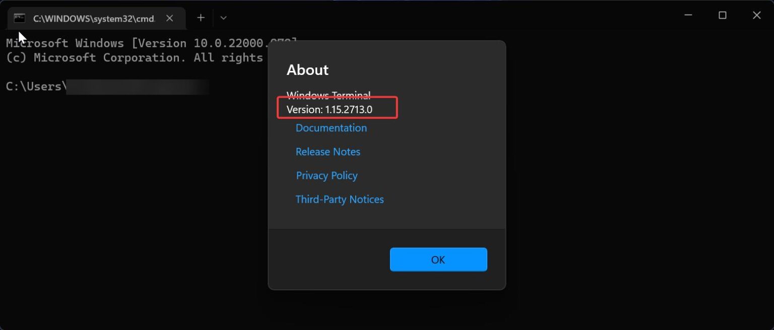 How Check Windows Terminal Version in Windows 11/10? - Technoresult