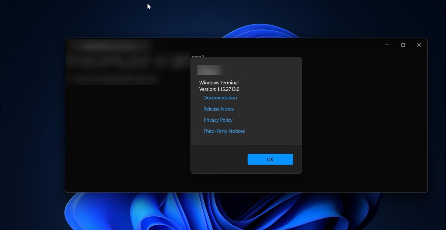 How Check Windows Terminal Version in Windows 11/10? - Technoresult