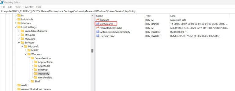 How to Delete duplicate system tray icons in Windows 11? - Technoresult
